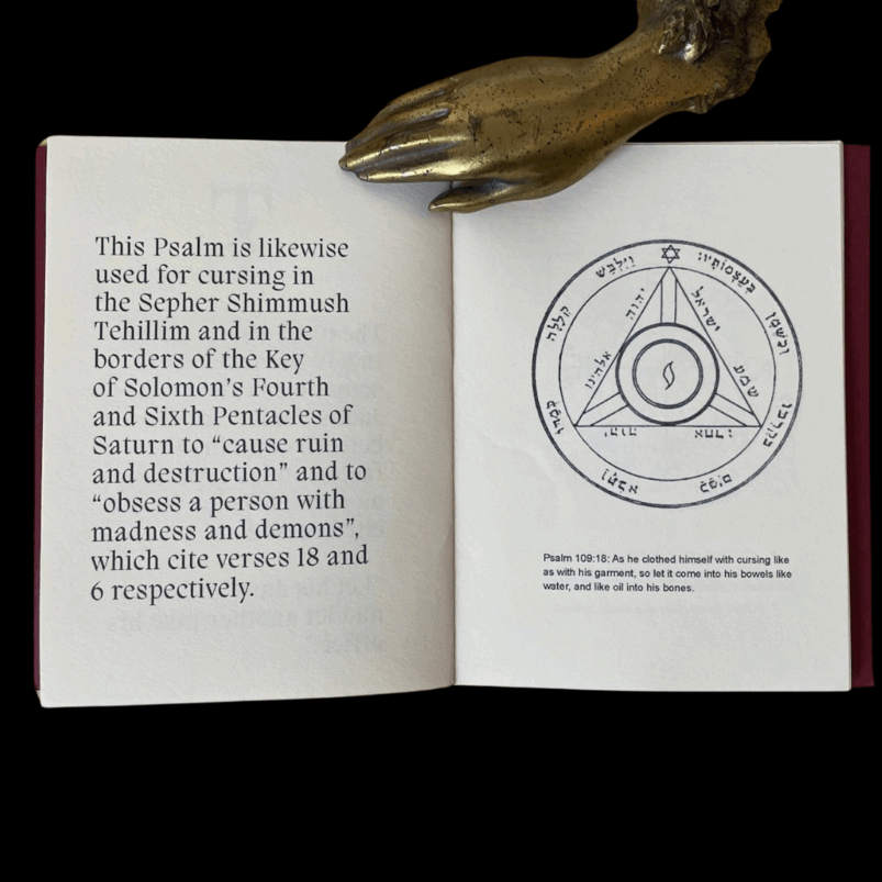 The Little Book Of Book Curses : Andrew Lenoir 2023 - ELLIPSIS RARE BOOKS
